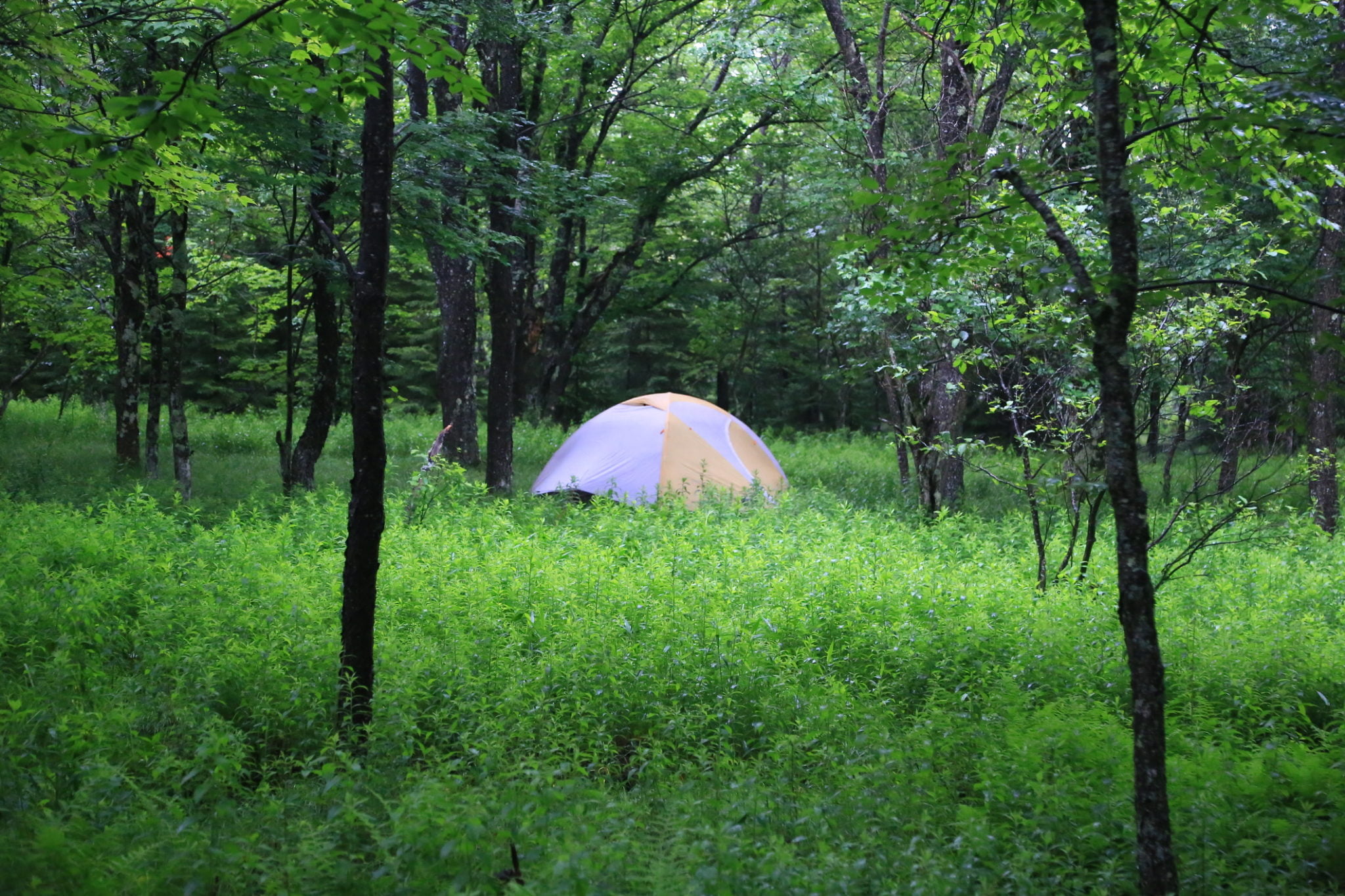 The 17 Types Of Tents That Are Best To Pitch Up For Your Adventure ...