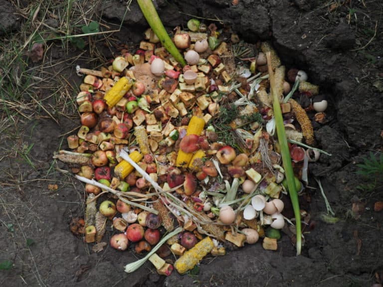 How To Make A Compost Pile ( For A Sustainable Garden!) | HobbyKraze