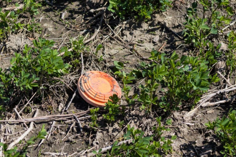Clay Pigeons: What Are They Made Of? - Biodegradability And Safety ...