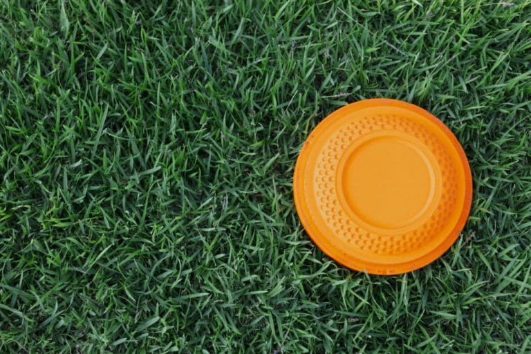 Clay Pigeons: What Are They Made Of? - Biodegradability And Safety ...