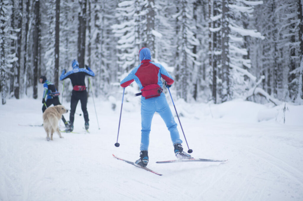 How Much Does Crosscountry Skiing Cost Ski Guide By Experts HobbyKraze