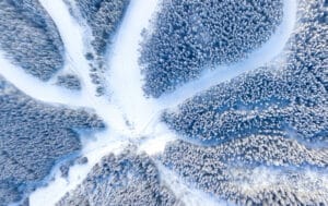 Ski Slope Colors: A Complete Beginner’s Guide To Ski Trail Ratings ...