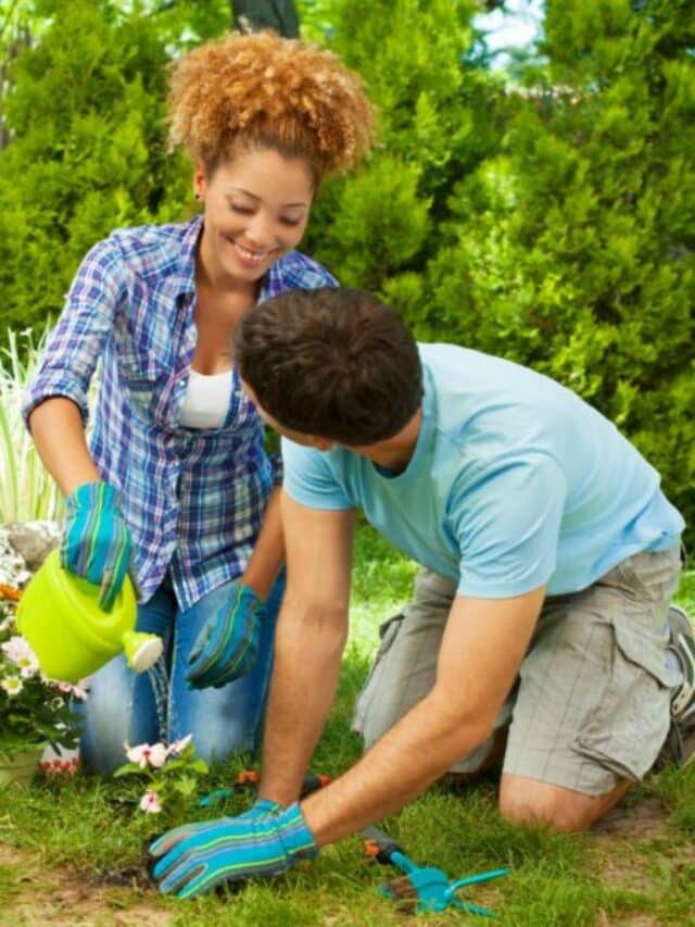 Best Hobbies For Couples HobbyKraze best-hobbies-for-couples-hobbykraze