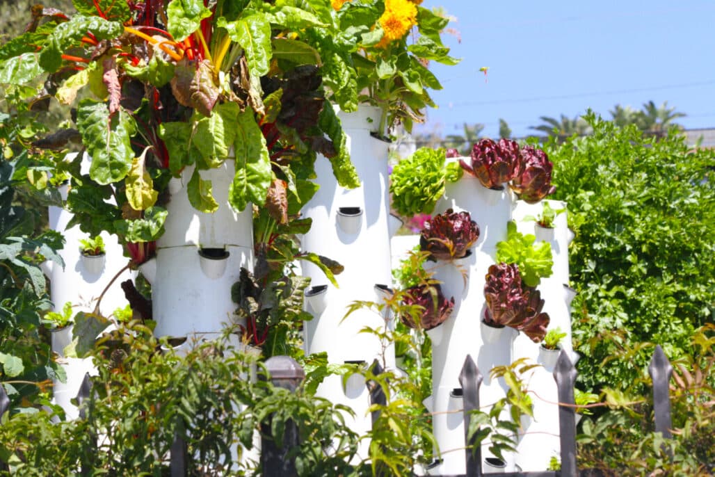 Aeroponics: The Definitive Guide To Get Started With Aeroponic Systems ...